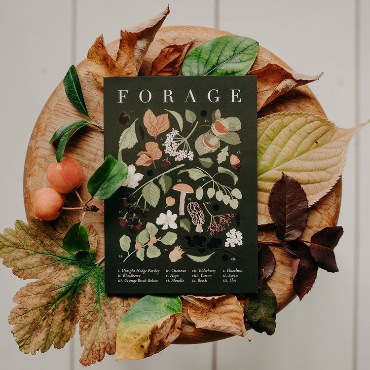 Forage Card – Willow & Blossom Botanicals